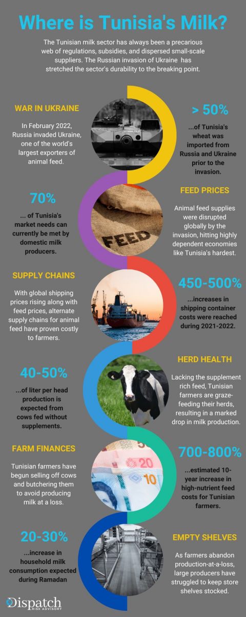 Milk Shortages Explained - Dispatch Risk Advisory | Tunis, Tunisia